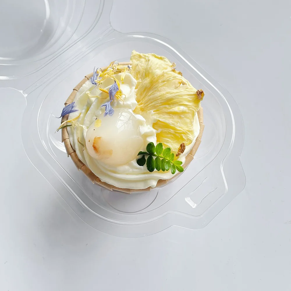 Wholesale Disposable Plastic Hinged/clamshell Transparent Single ...