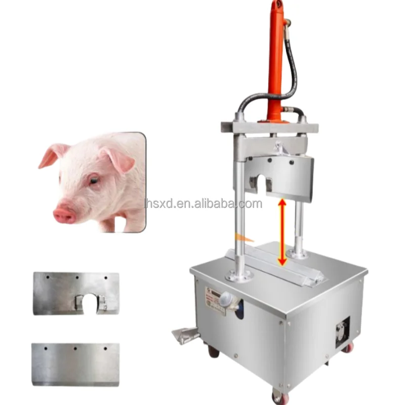Pig Head Splitting Machine - Efficient & Durable Solutions