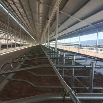 Dairy Farm Barn Divider Galvanized Free Stall Sand Cow Cubicles - Buy ...