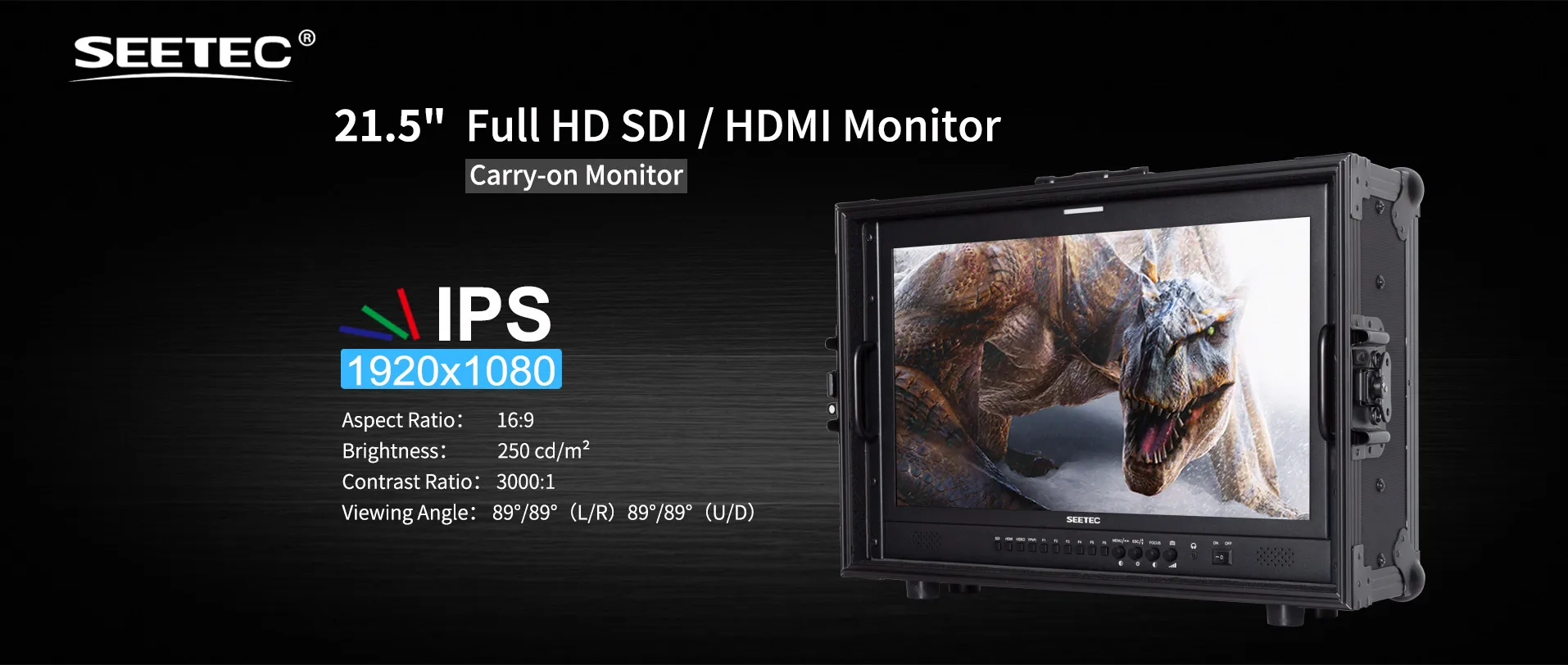 Seetec IPS Full HD 1920x1080 Carry on Sdi Monitor 22 Inch with Portable ...