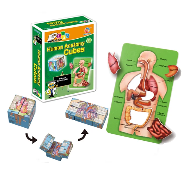 Human Anatomy Cubes--custom Folding Magic Cube Toy| Alibaba.com