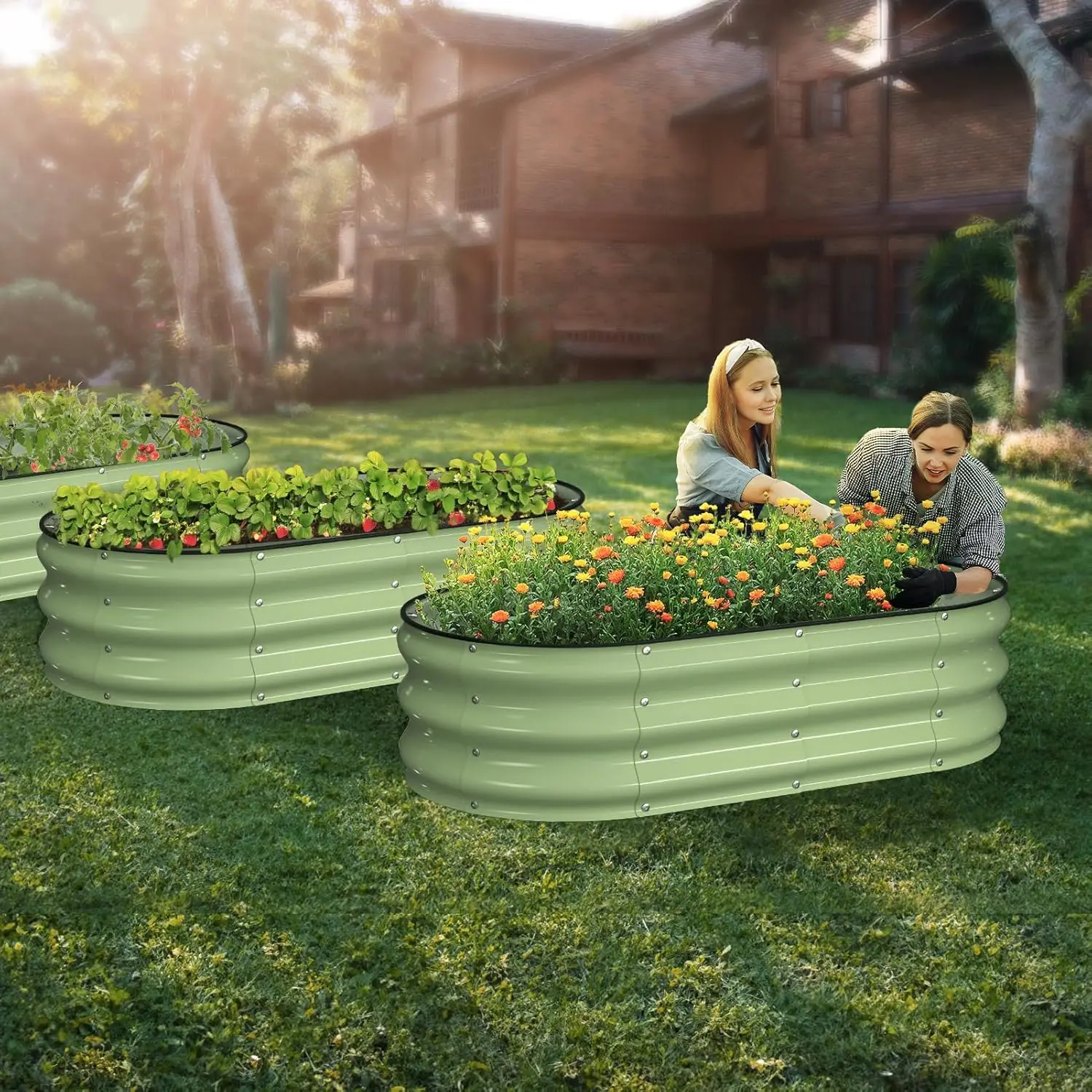 Galvanized Raised Box Kit Galvanized Planter Raised Boxes Outdoor Oval ...