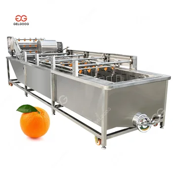 Factory Design Conveyor Belt Citrus Washer Process Veg Fruit Washing ...