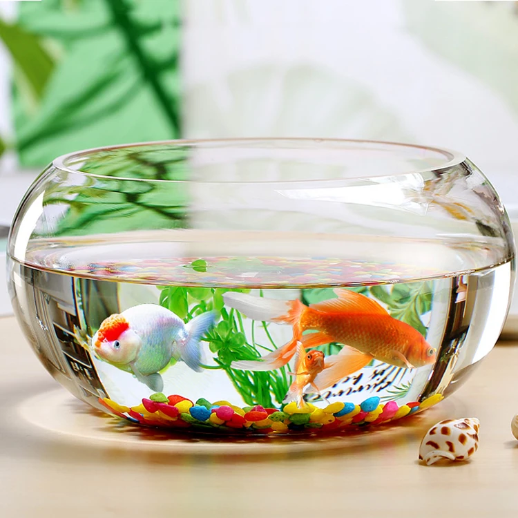 Modern Small Round Glass Fish Bowl Creative Hydroponic Globe Vase ...