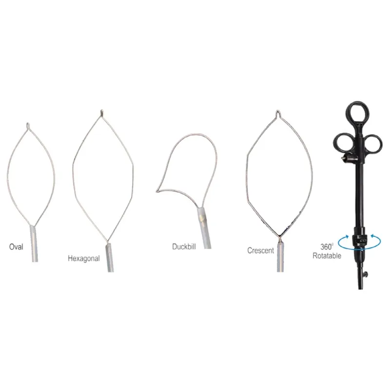 Colonoscopy Hexagonal Polypectomy Snares Polypectomy Gastroscopy ...