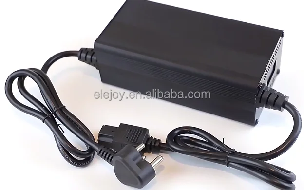 ELEJOY Smart Battery Chargers - Efficient Electric Vehicle Solutions