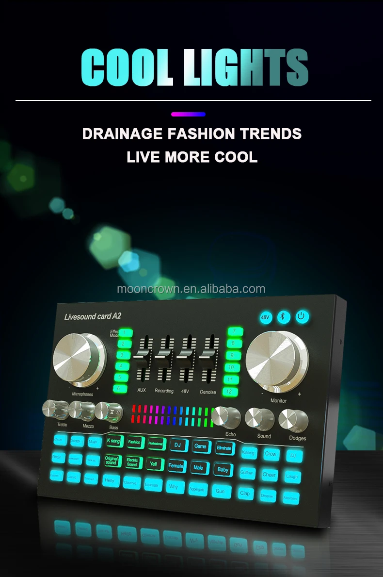 Bm800 A2 Sound Card - Professional Podcasting & Recording