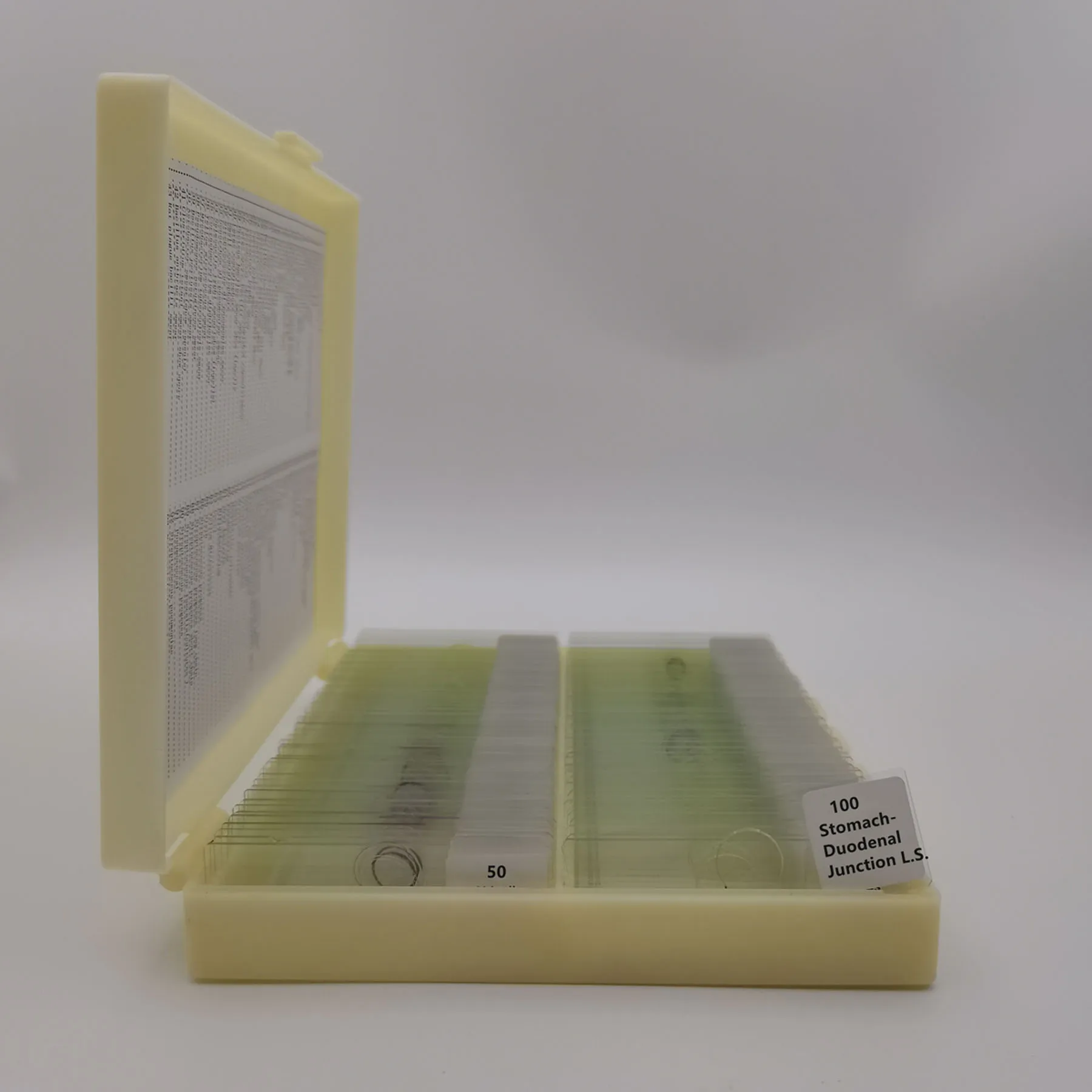 100pcs Set Educational Histological Animal Histology Prepared ...