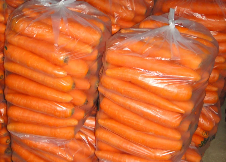 Fresh New Carrot Bulked For Sale Good Price - Buy Bulk Carrot Strip ...