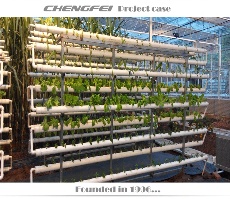 Indoor Double-sided Ladder Family Balcony Planting Automatic Soilless ...