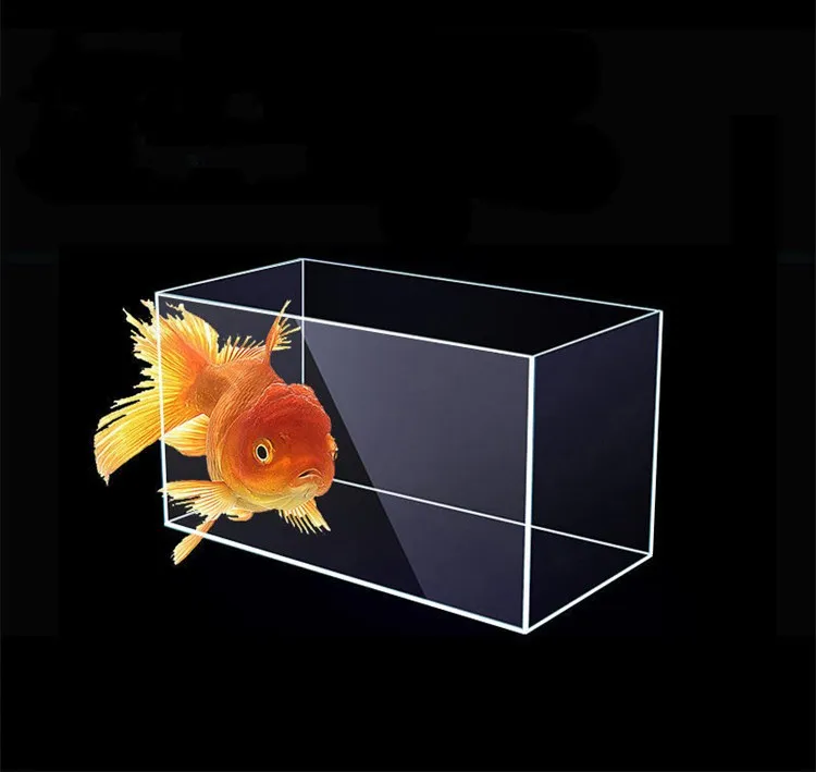 Custom Betta Aquarium - Durable Acrylic Fish Tanks