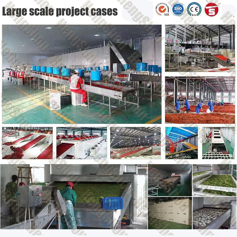 Mulberry Leaf Multilayer Hot Air Circulation Mesh Belt Dryer Silkworm ...