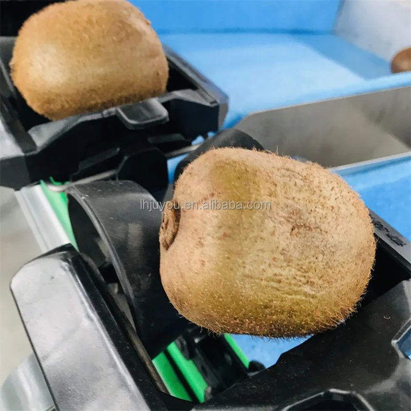 Fruit and Vegetable Sorting & Grading Machine - High Efficiency