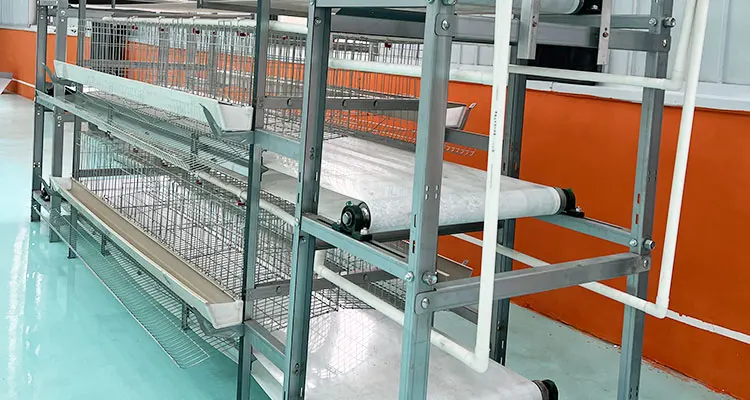 10000 Birds Laying Hens Chicken Cages - Manual Manure Removal