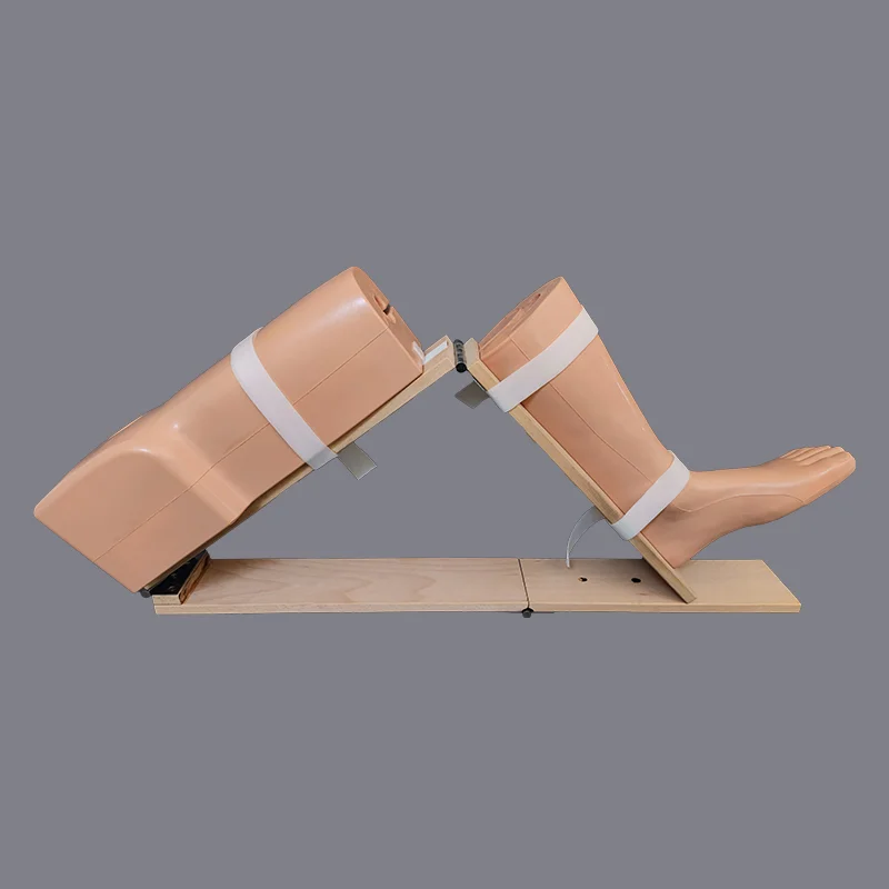 Kyrenmed Sawbones Soft Tissue Knee Holder For Simulating Knee Joint ...