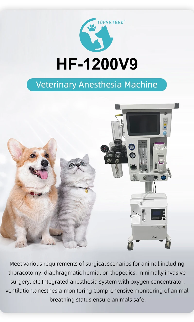 Electric Veterinary Anesthesia Ventilator for Pet Surgical Breathing ...