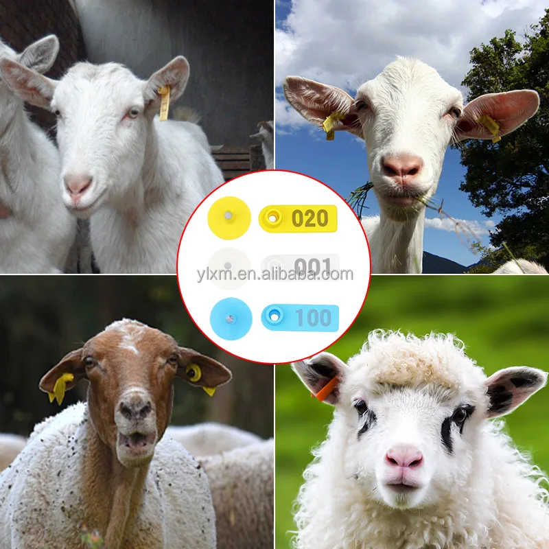 High Quality Goat Ear Tags - Durable & Customizable