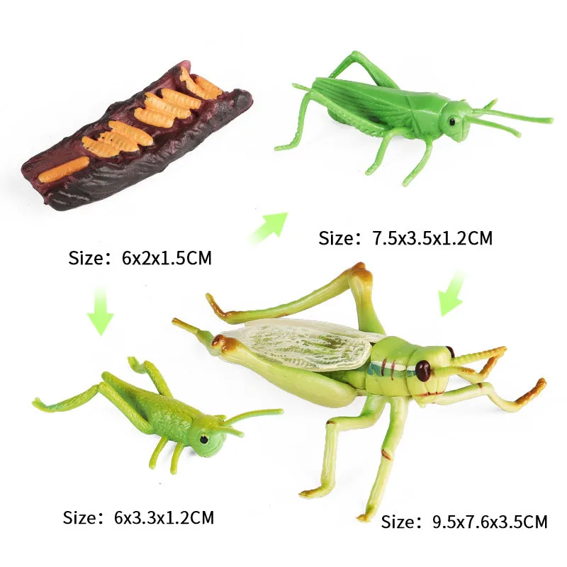 Toy Insect Plastic Small Pvc Insect Toy Plastic Insect Kids Toys - Buy ...