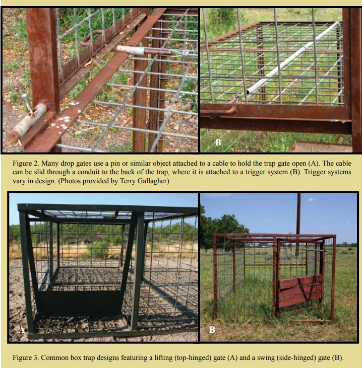 3-door Feral Hog Trap - Efficient Animal Control Solution