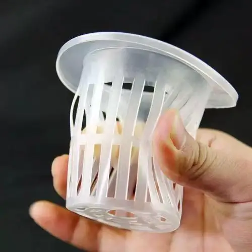Hydroponic Colonization Cups Vegetable Planting Mesh Pot Hydroponic ...