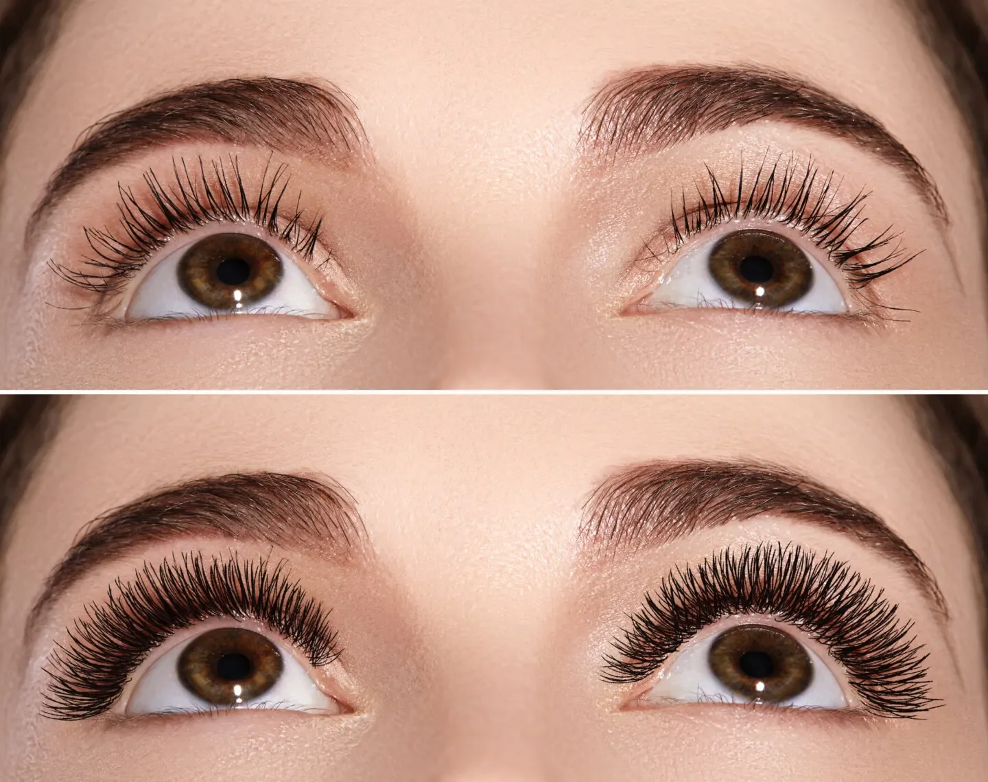 Wholesale Classic Hybrid Volume Mega Silk Lash Trays Matte Black Lash ...