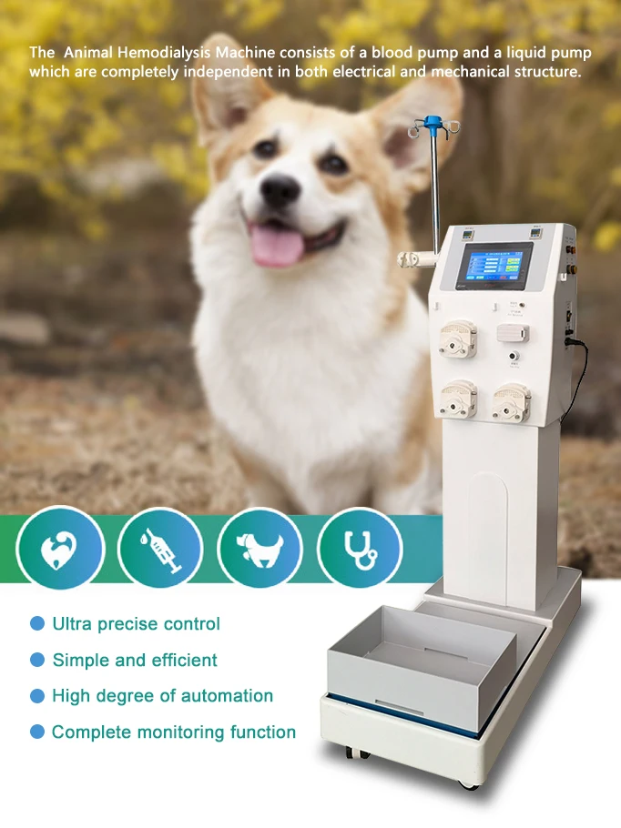 Veterinary Hemodialysis Machine - Animal Dialysis Equipment