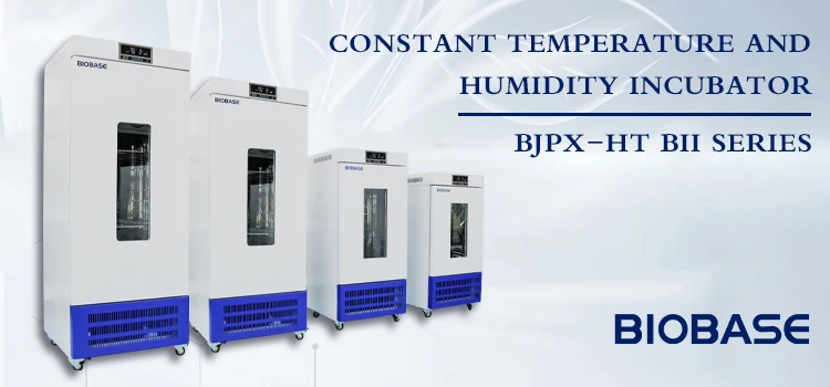 BIOBASE Constant Temperature Drying Oven - 138L, LCD Display