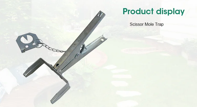 China Heavy Duty Easy Set Mole Traps Control Outdoor Garden - Buy Easy ...