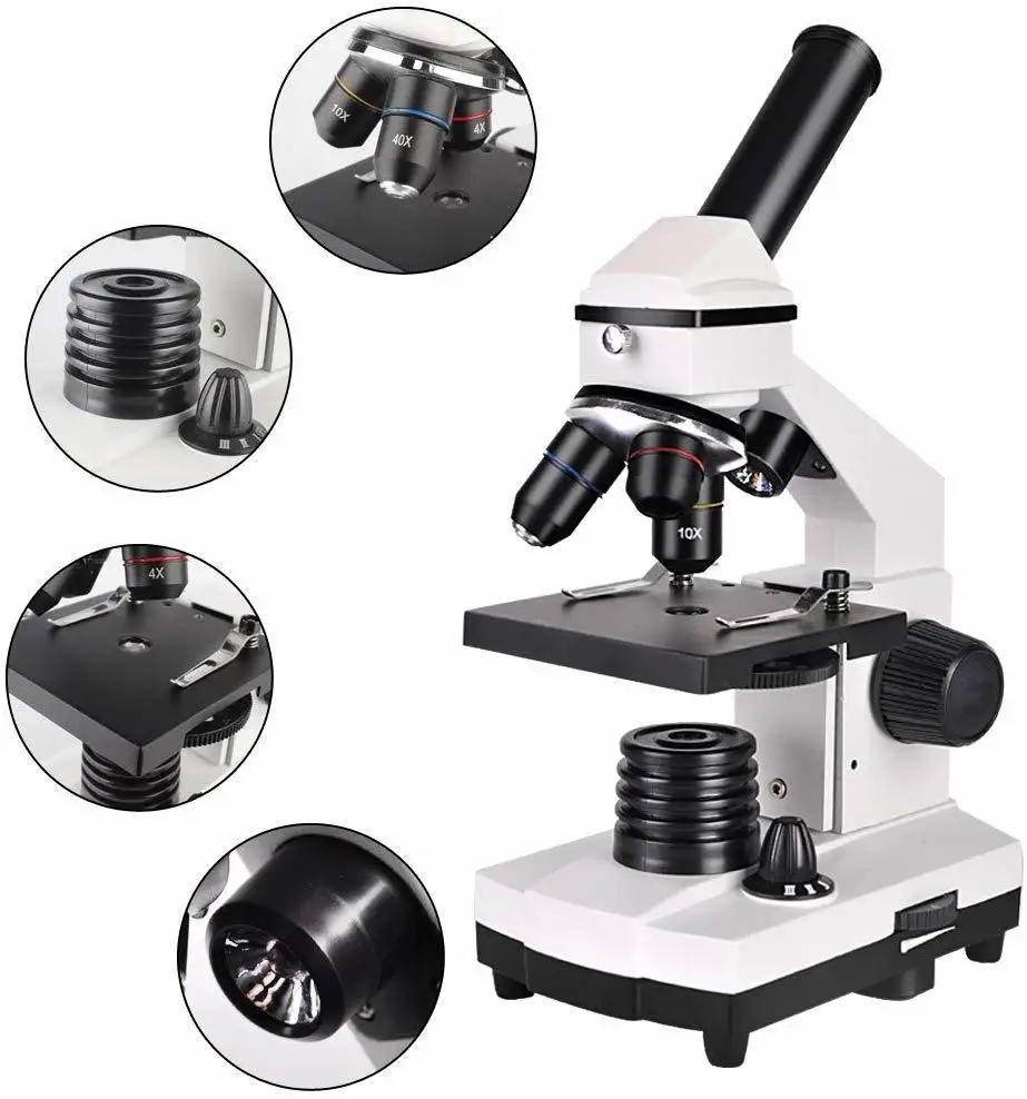 NP-SM02 Dual LED Student Educational Mono Microscope 40x-640x| Alibaba.com