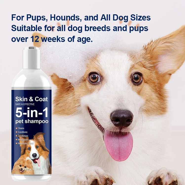Buy Dog Wash Shampoo,Natural Dog Shampoo,Product on Alibaba.com