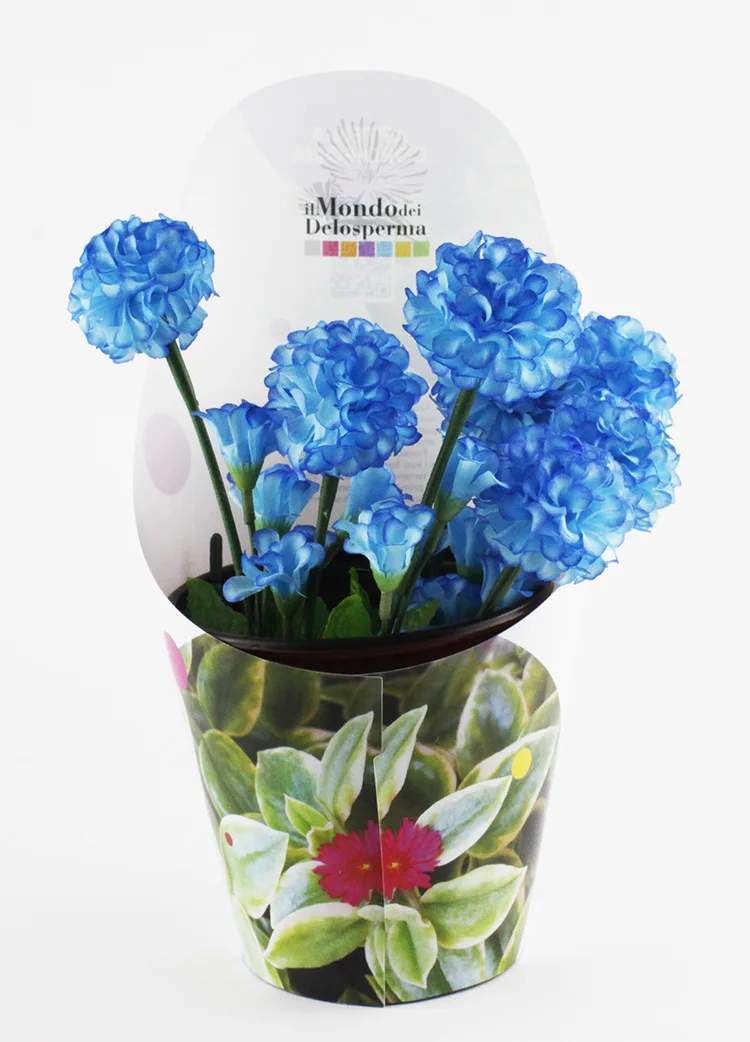 Custom Clear Plastic Plant Pot Covers - Decorative Wraps