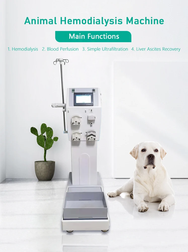 Veterinary Hemodialysis Machine - Animal Dialysis Equipment