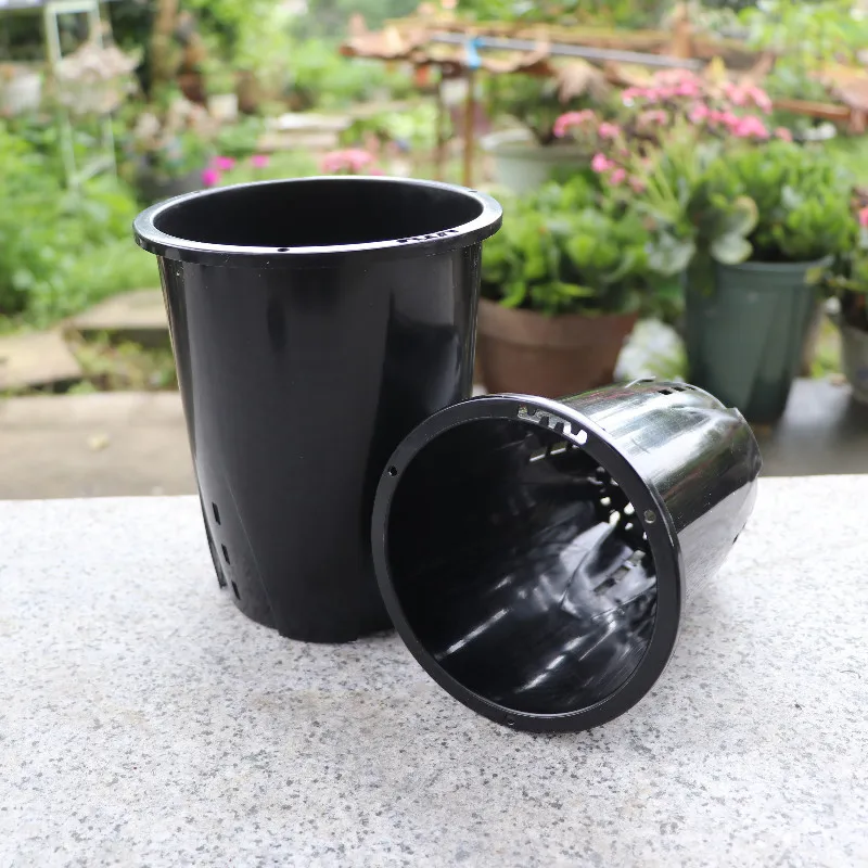 2022 New Transparent Root Control Pot Perforated Flower Pot Special ...