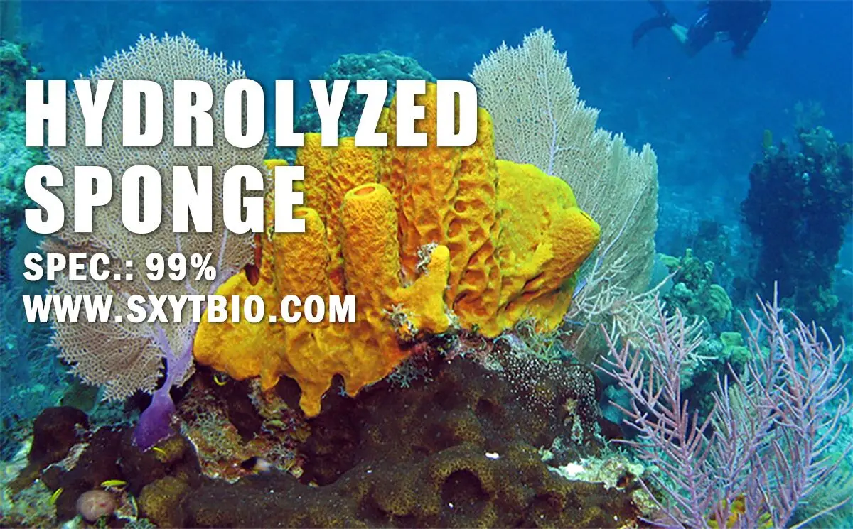 Cosmetic Material 99% Spongilla Lacustris Extract Powder Hydrolyzed ...