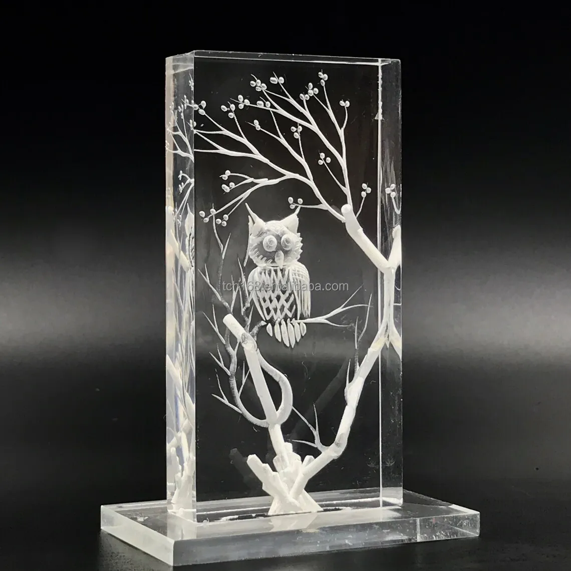 Acrylic Display Case for Vinyl Figure Collectors