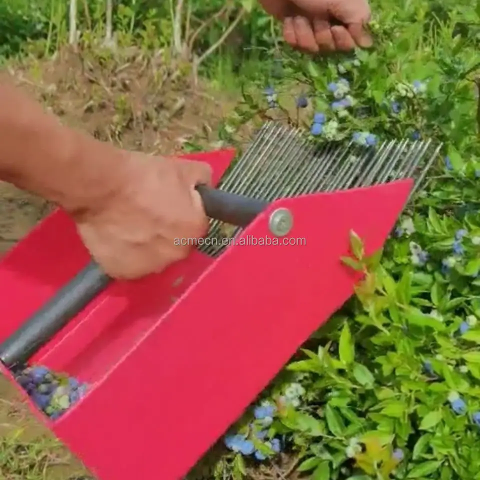 Manual Efficient Blueberry Picker Hand Blueberry Harvester Fruit ...