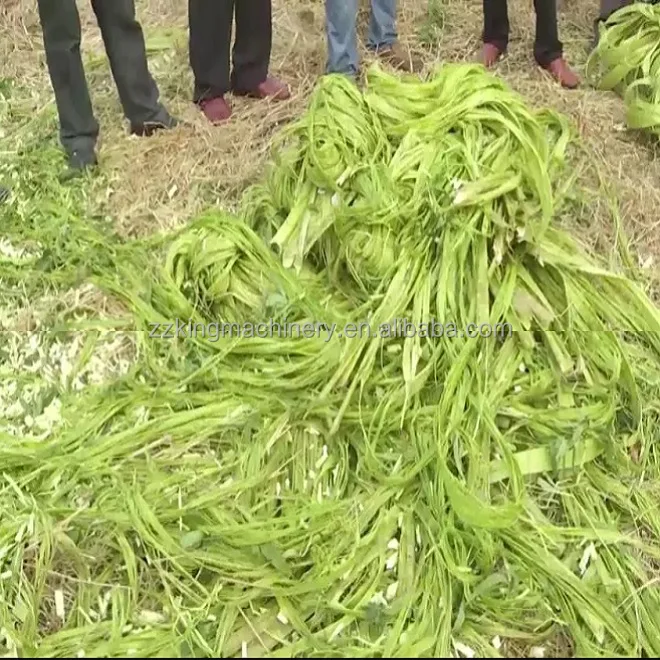 Hemp Decorticator Machine - Efficient Fiber Extraction