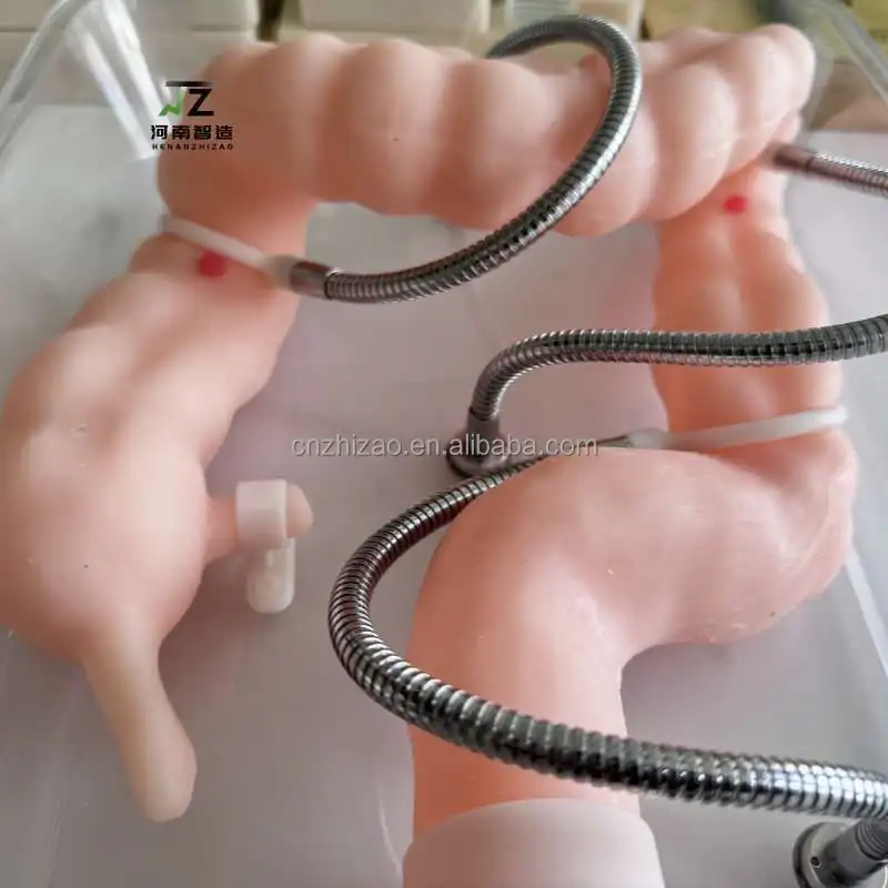 Colonoscopy Training Model - Advanced Medical Simulation