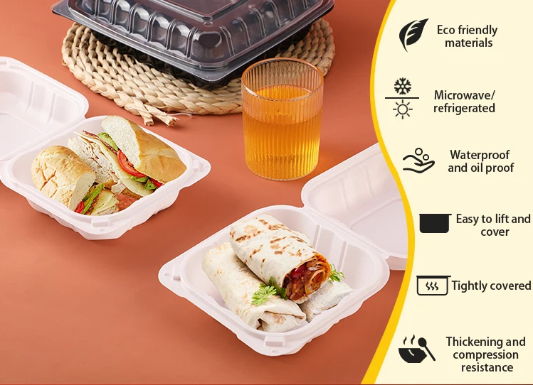 DG 6x6 6x9 8x8 9x9 Inch MFPP Hinged Container to Go Boxes