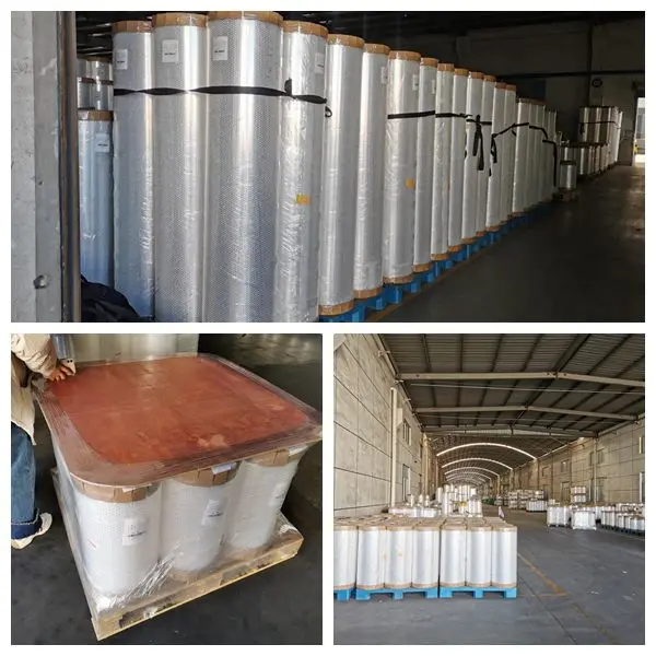 Metalized CPP Film - Versatile and Durable Packaging