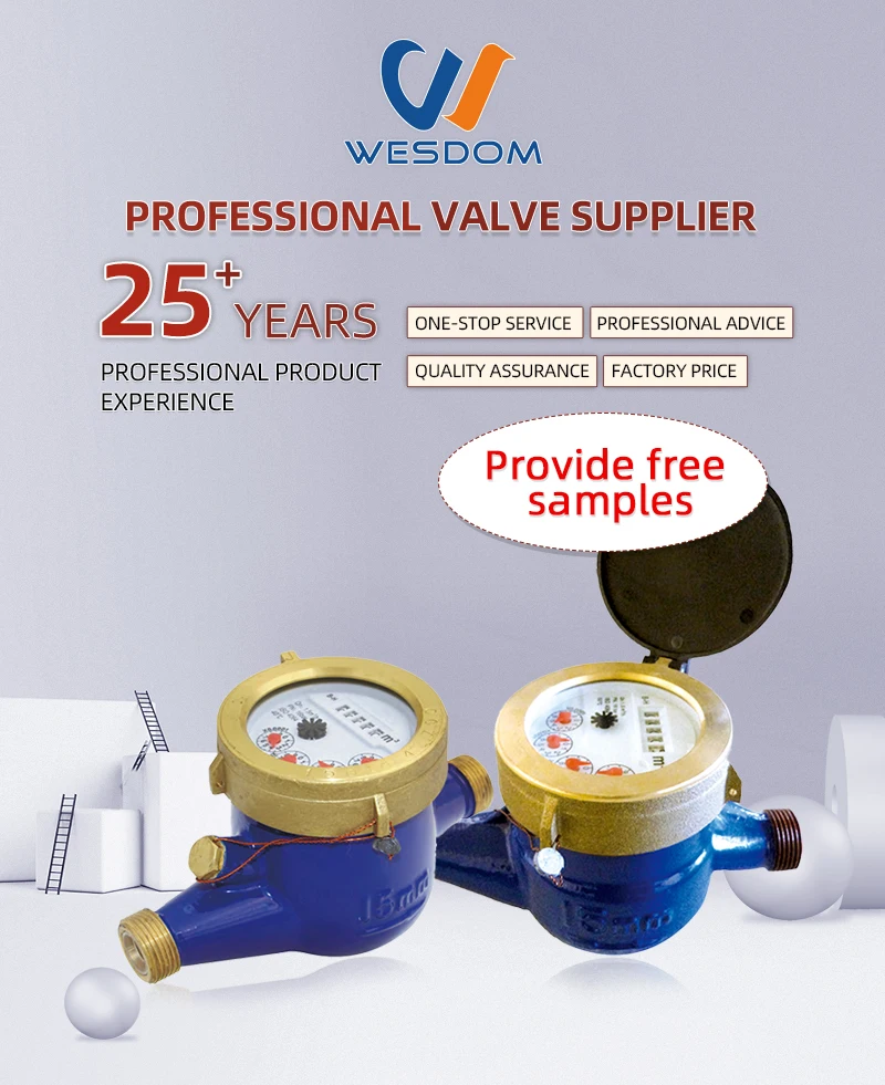 Wesdom Automatic Water Meter Reading System Domestic Water Meter Brass ...