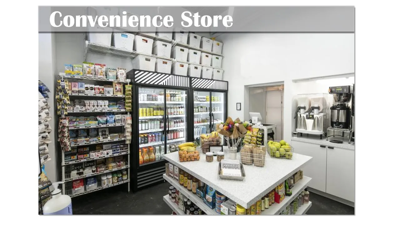 Double Doors Upright Showcase - Efficient Display Fridge