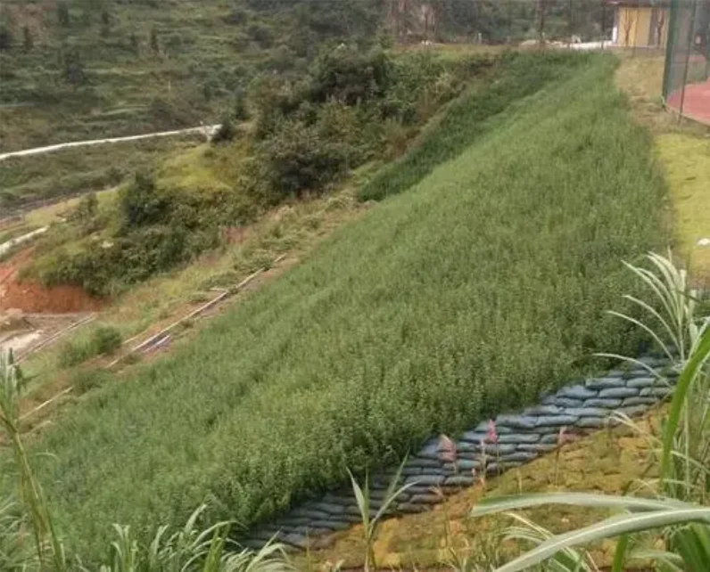 Geobag Retaining Walls Slope Stabilization Erosion Control - Buy Geobag ...