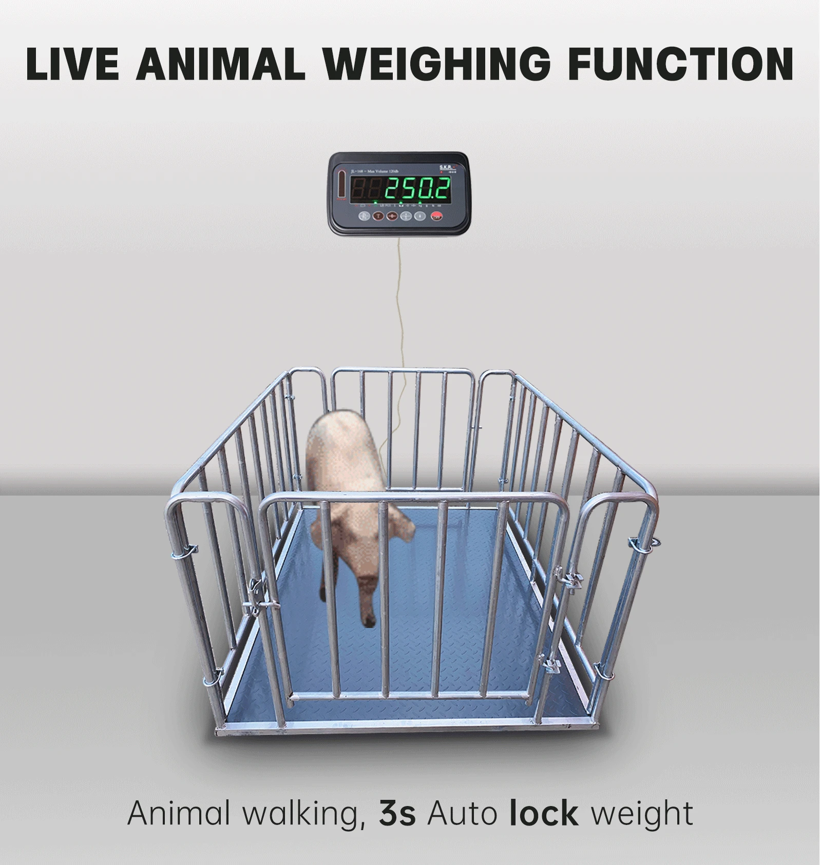 Smart Digital Weighing Scale with Alarm Light & Bluetooth