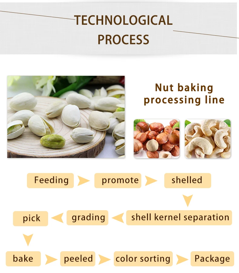 TCA Nuts Processing Machines - High Efficiency Solutions