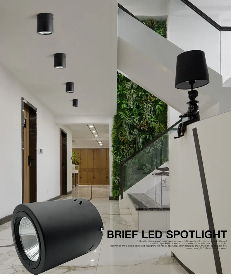 Modern Surface Mounted Commercial Lighting - LED Spotlights