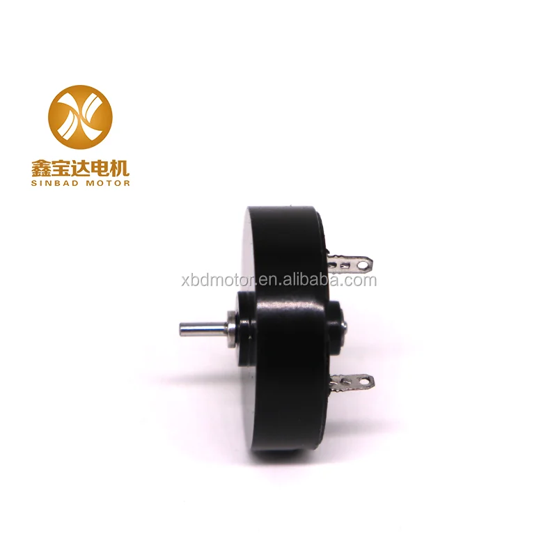2607 Maxon Coreless Brushed DC Motor - Low Noise, High Efficiency Micro ...