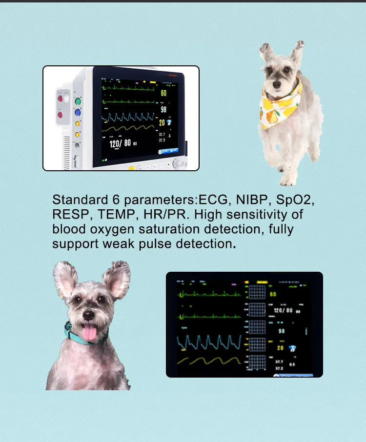 Plastic Animal Blood Pressure Monitor Multiparametric Monitoring ...