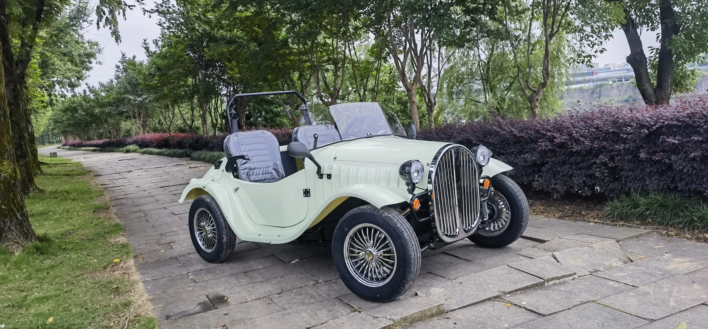 Hot Sale Vintage 72V Customized 2 Seater Side by Side UTV