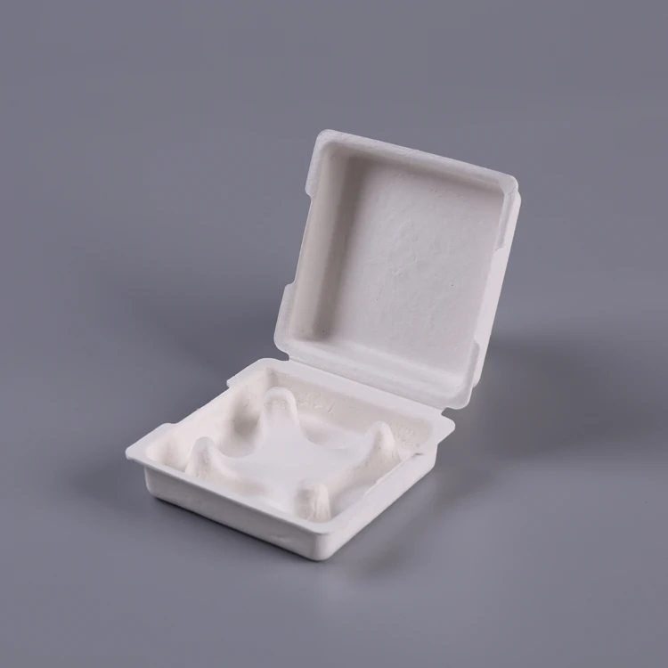 Biodegradable Paper Pulp Sugarcane Fiber Reusable Commodity Packaging ...